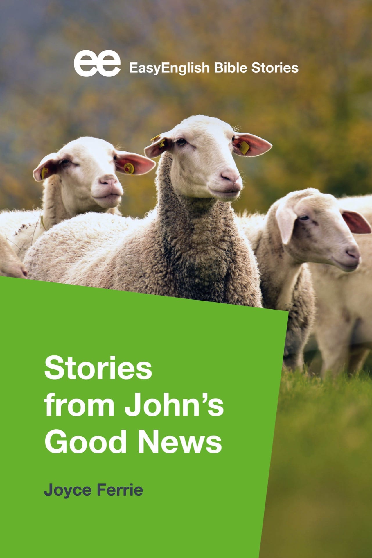 EasyEnglish Bible | Stories from John’s Good News